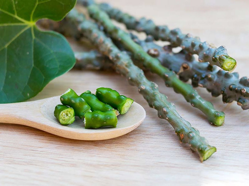 7 Miraculous Benefits of Giloy to Keep you Healthy