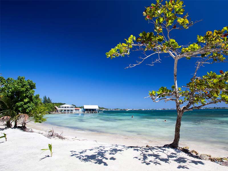 8 Beautiful Places in Kumarakom you Must Visit