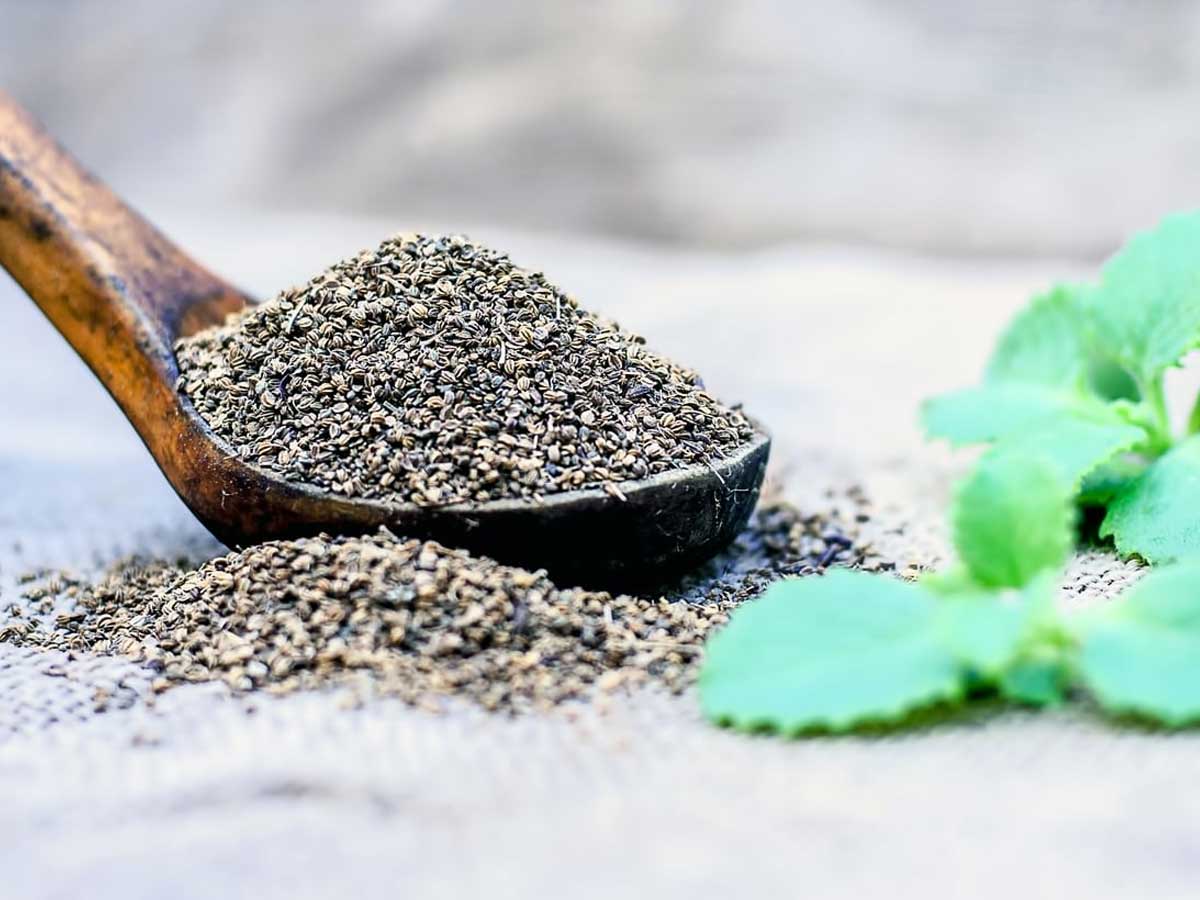 6 Amazing Benefits of Ajwain you Need to know About