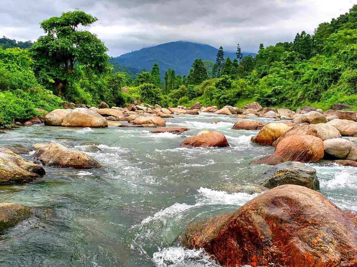 Dooars 2021: A Destination To Relieve All Your Stress