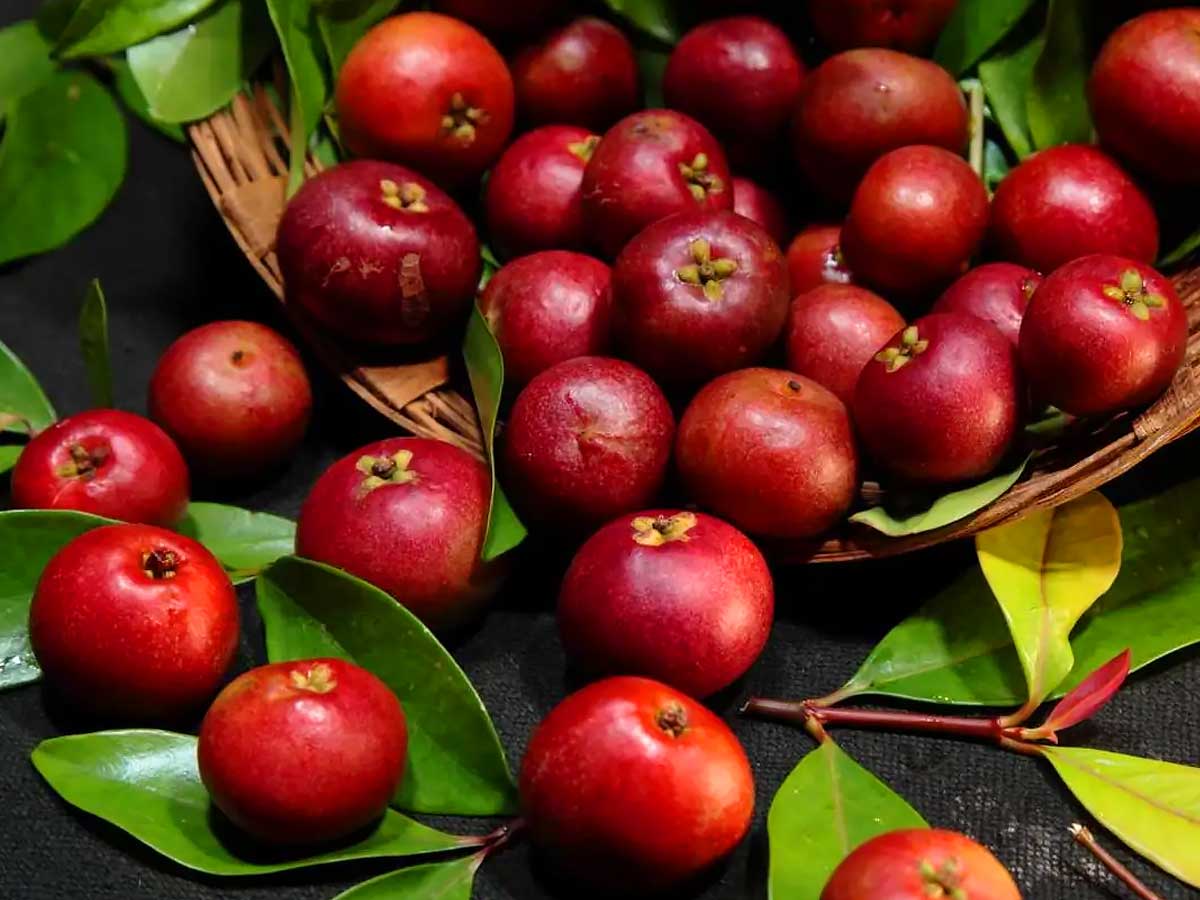 8 Amazing Benefits of Kokum you Never Heard of