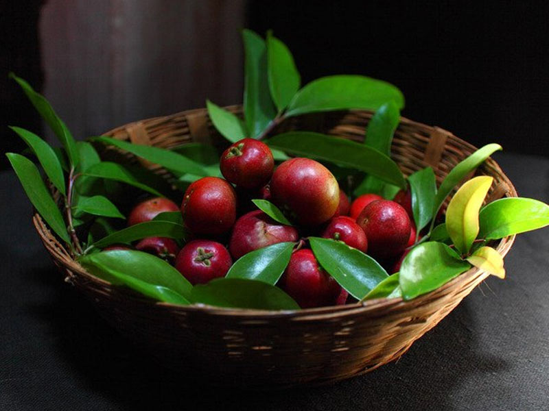 8 Amazing Benefits of Kokum you Never Heard of