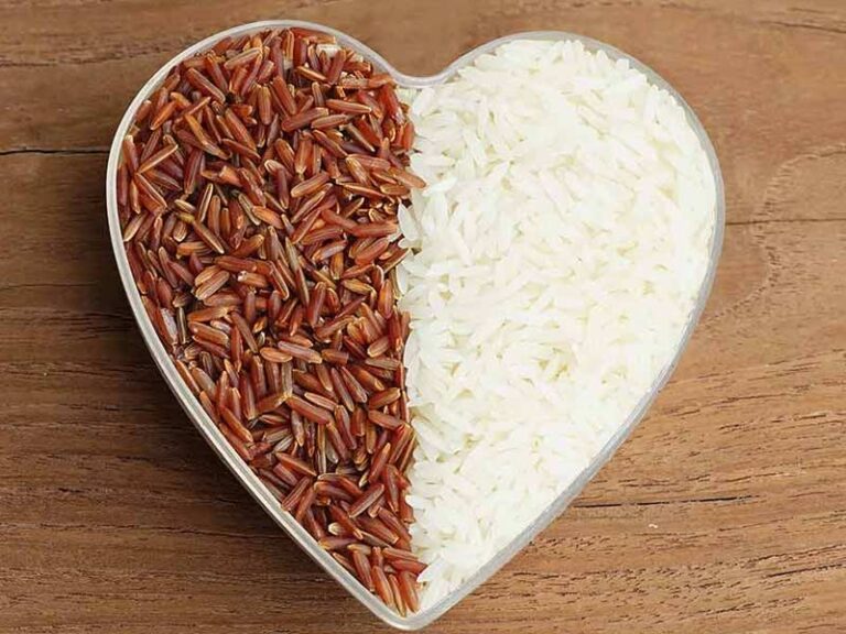 Brown rice vs white rice: Which one is better for weight loss?