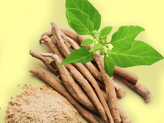 5 Best Anti-Aging Herbs to Fight Skin Aging