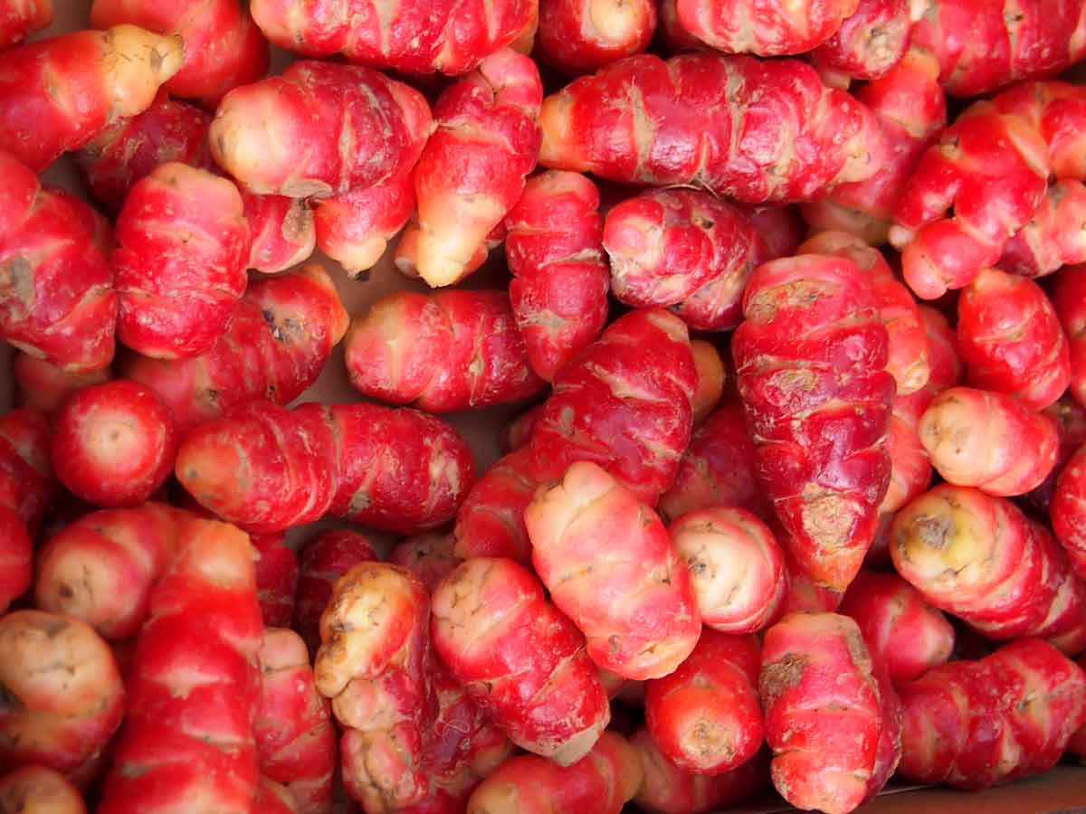 6 Benefits of Consuming Oca Root