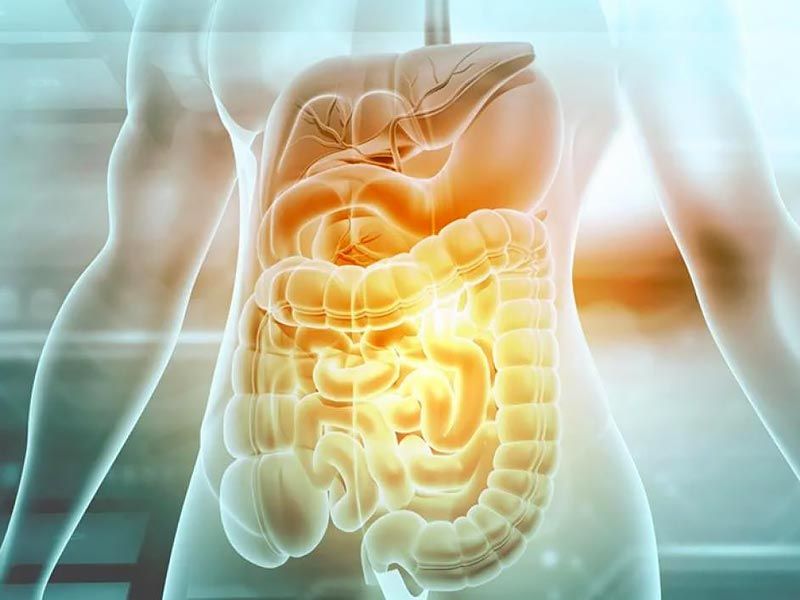 Oregano and its amazing health benefits