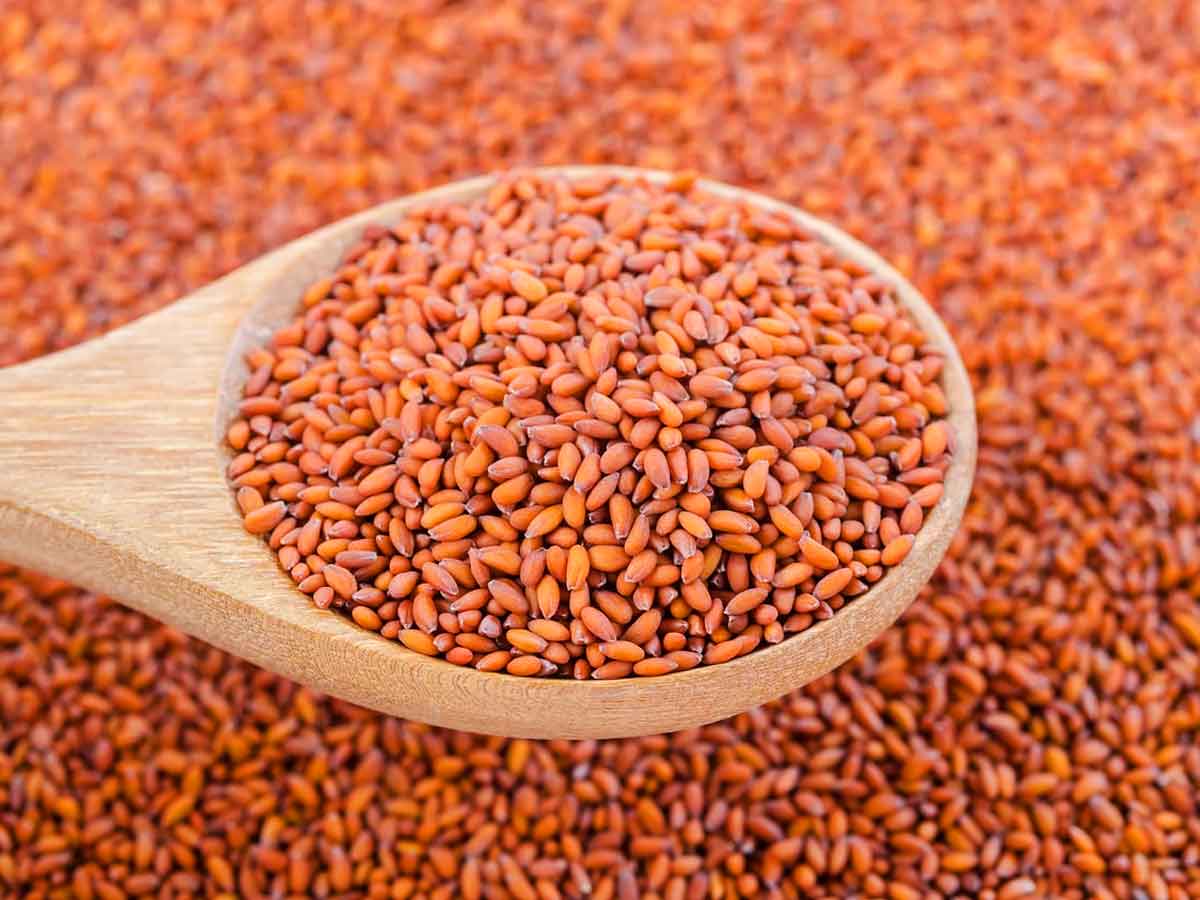 Halim Seeds: Superfood with 5 incredible health benefits