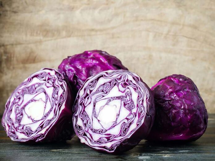 Discover 5 Types of cabbages and their benefits