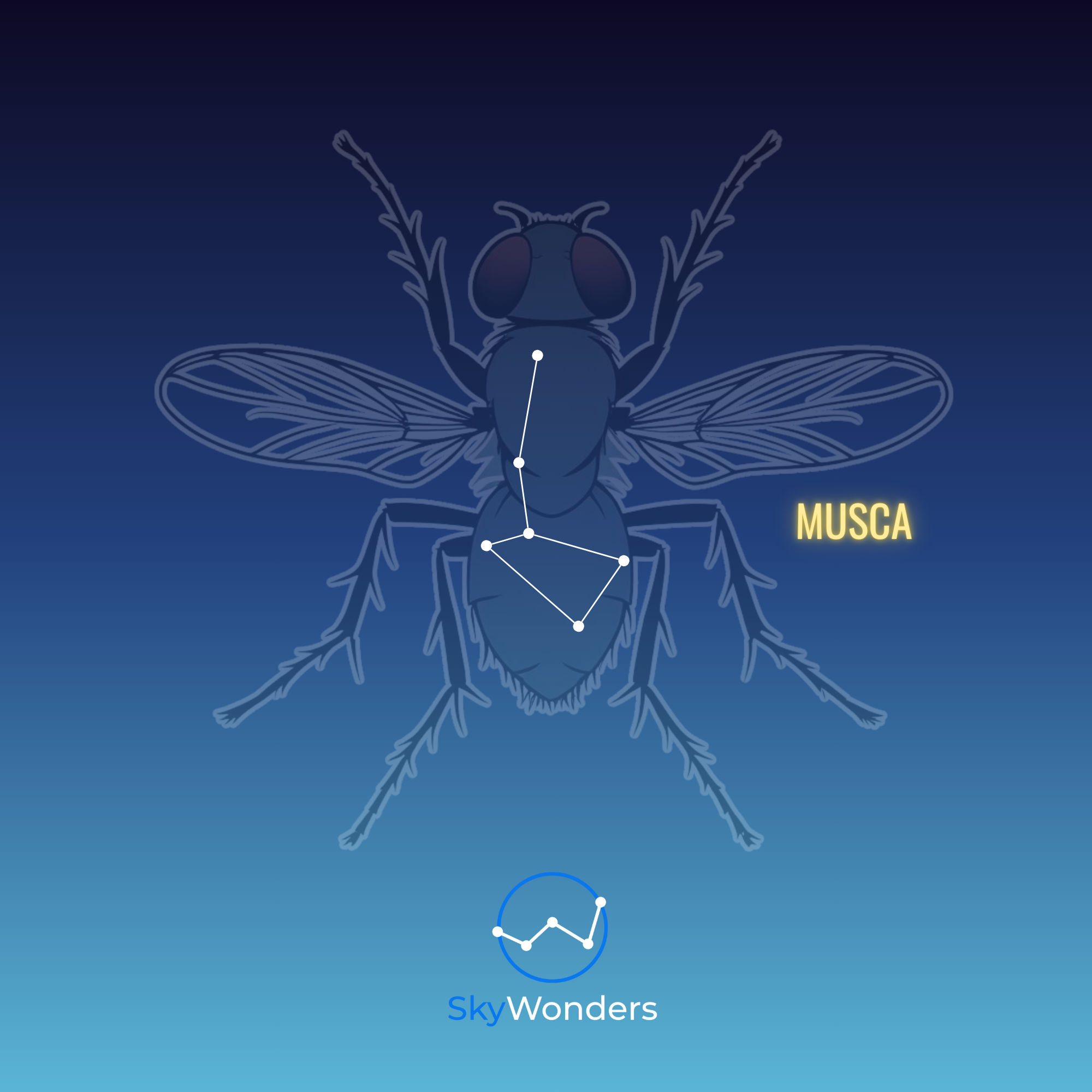 All 88 Constellations – SkyWonders