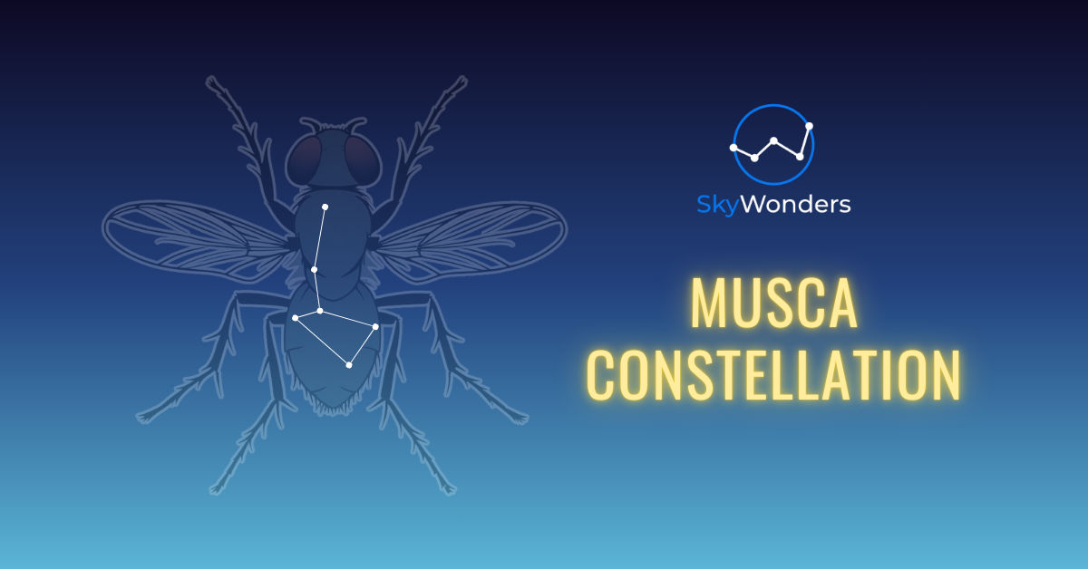 The Musca Constellation – SkyWonders