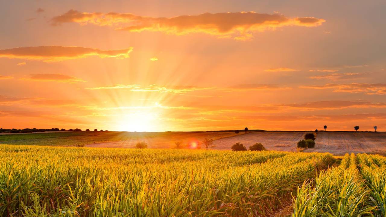 Astronomical Events 2026 – SkyWonders