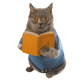 Cat Reading A Book Gif