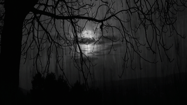 Horror Background Tumblr