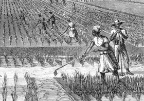 Southern Colonies Natural Resources