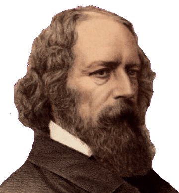 Sarah Tennyson's Instagram, Twitter & Facebook on IDCrawl