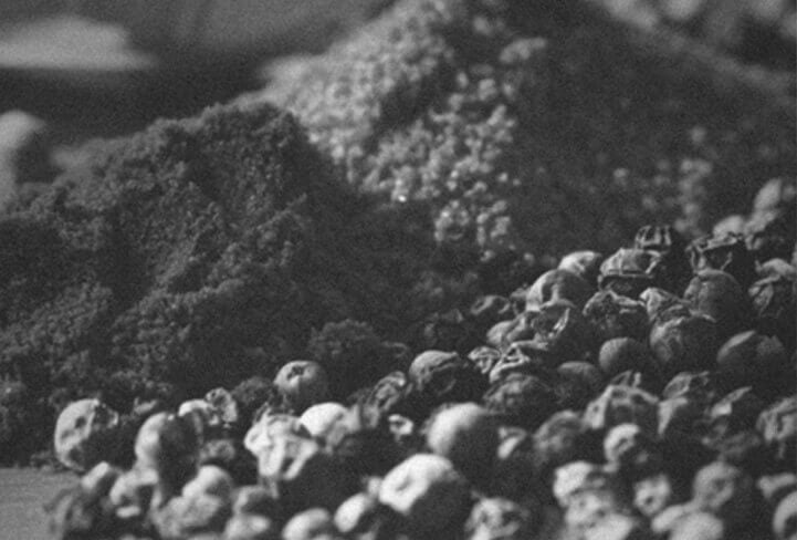 Our Story | Farmer John