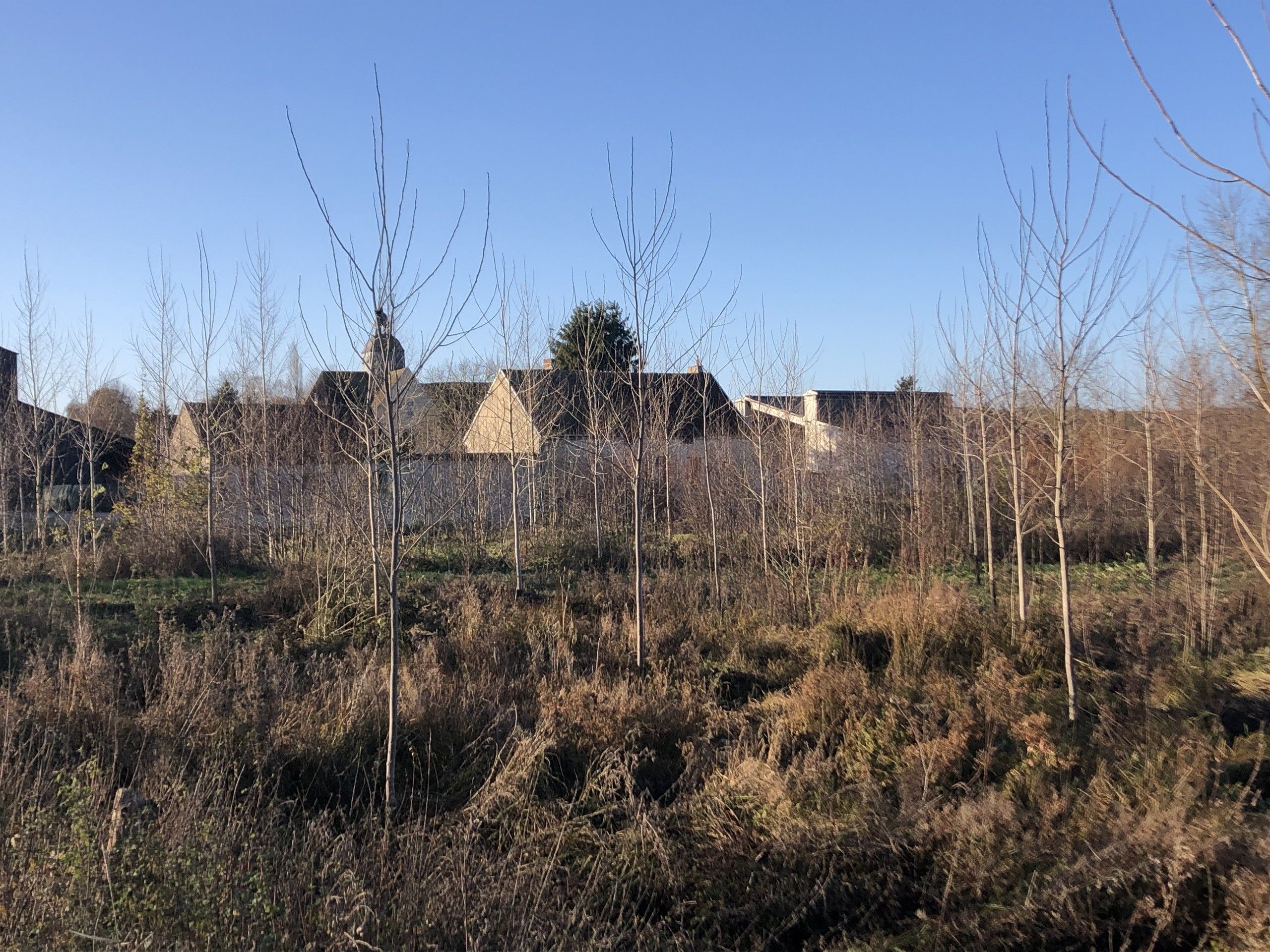 Accueil - Soligny