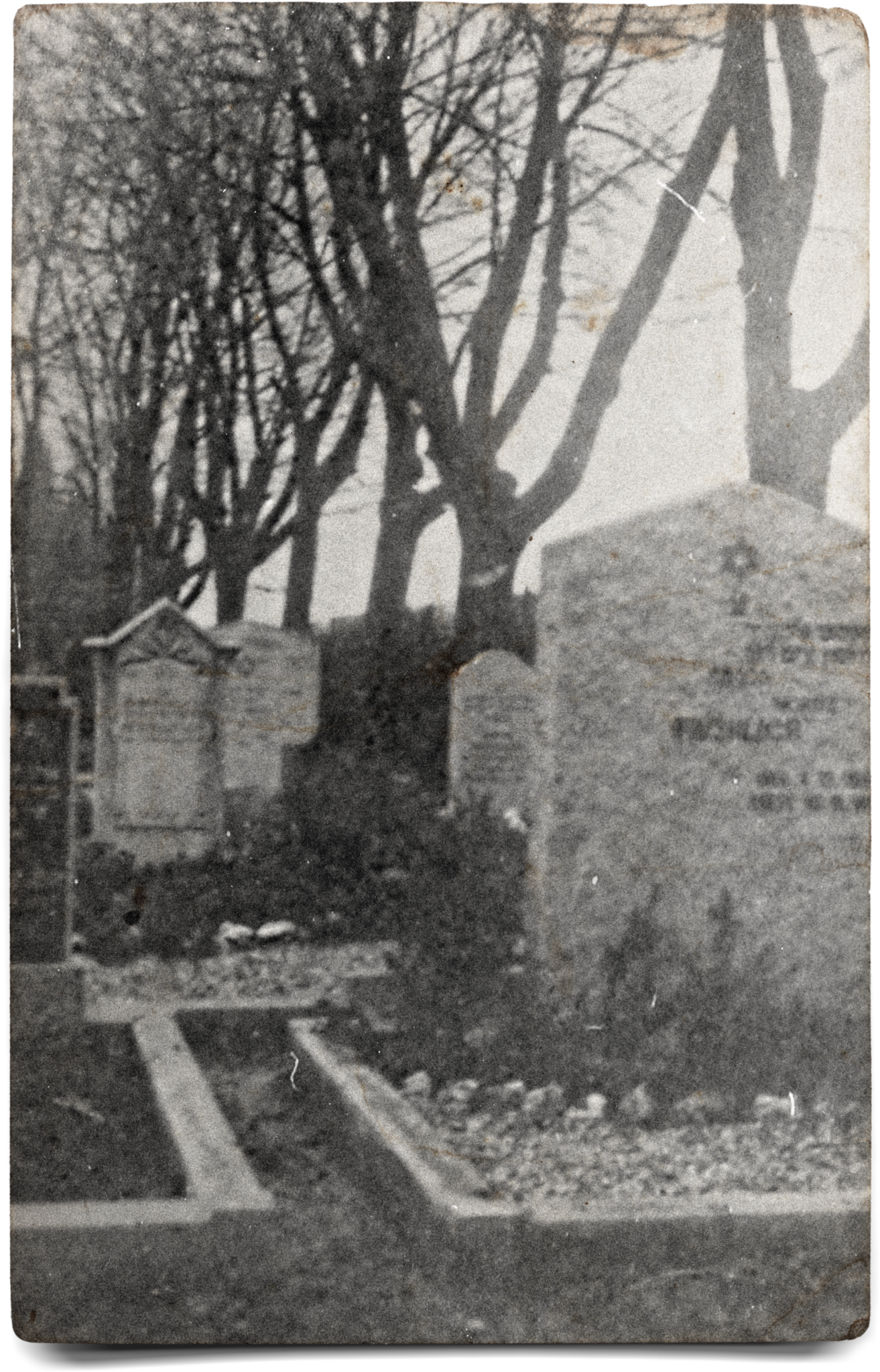 Liesel Carter - Survivor Story · Holocaust Centre North