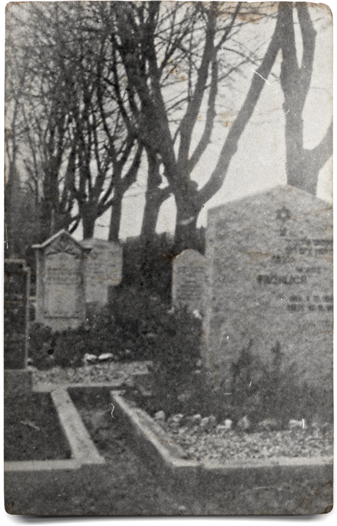 Liesel Carter - Survivor Story · Holocaust Centre North