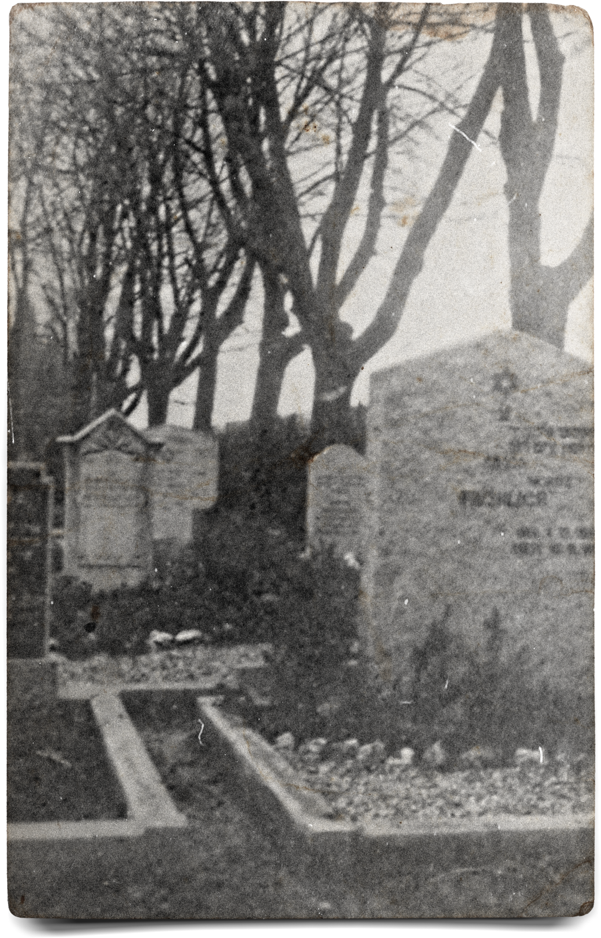 Liesel Carter - Survivor Story · Holocaust Centre North