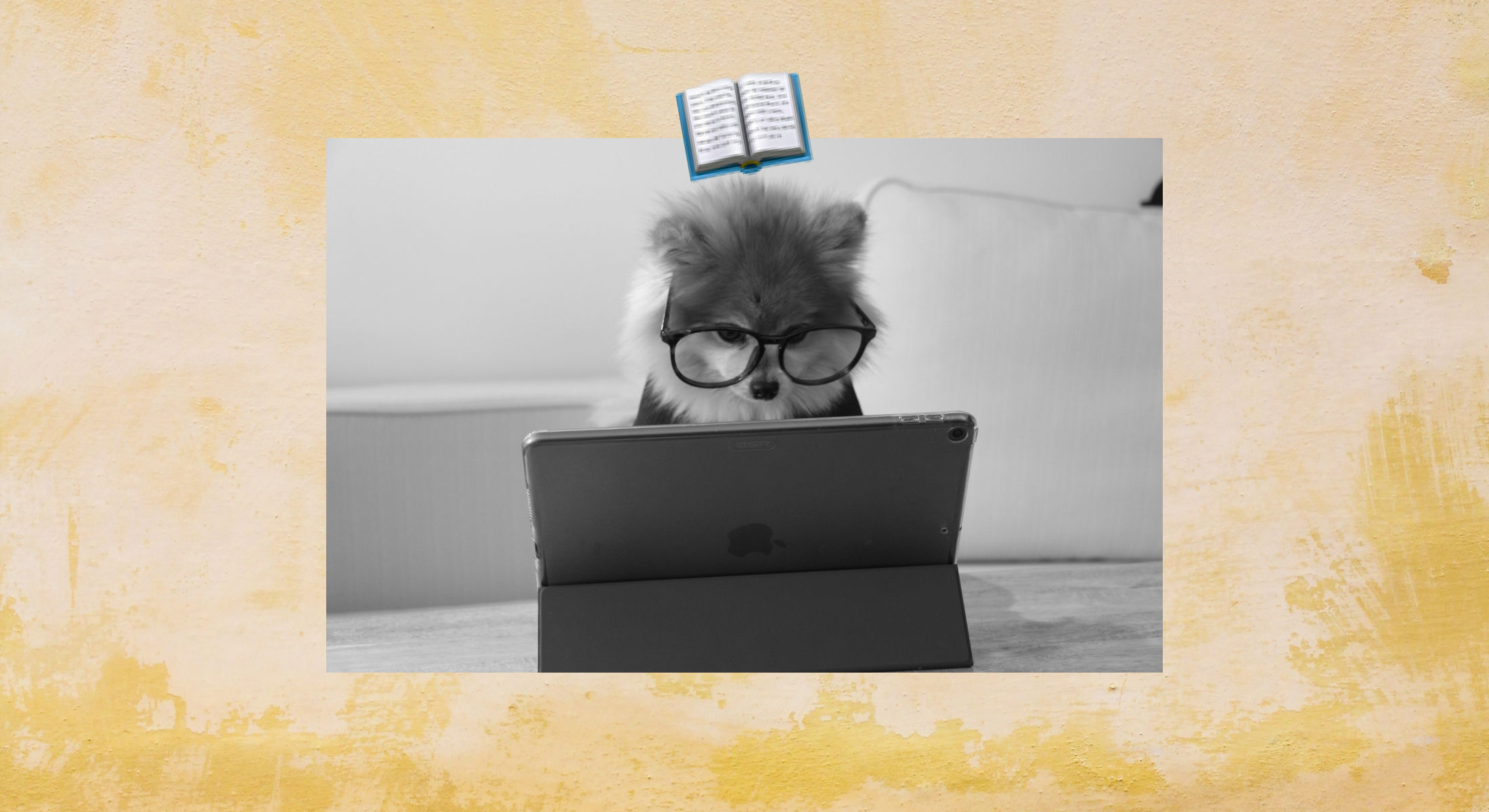 Katharina Alf | How to design your own digital diary studies (part 1)