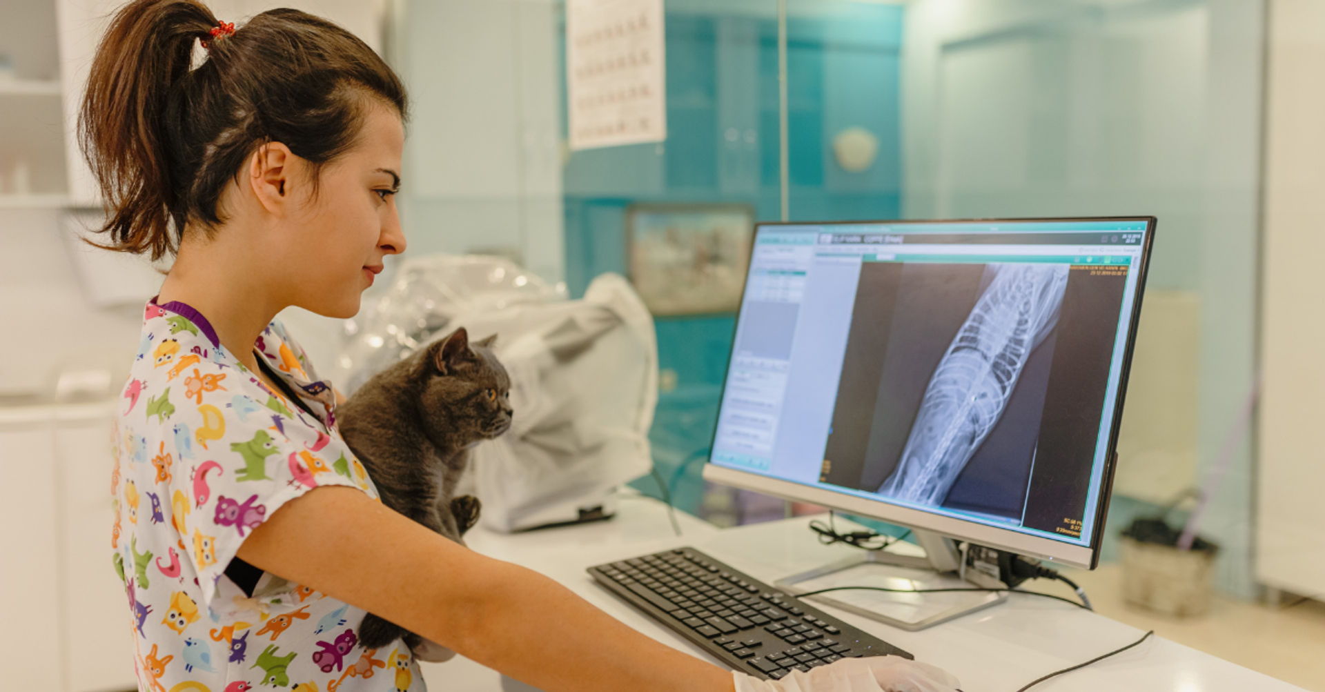 Reducing Radiation Exposure in Veterinary Radiography: The Low-Dose ...