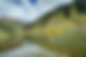 Steinmann Group Holding AG