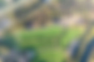 Steinmann Group Holding AG