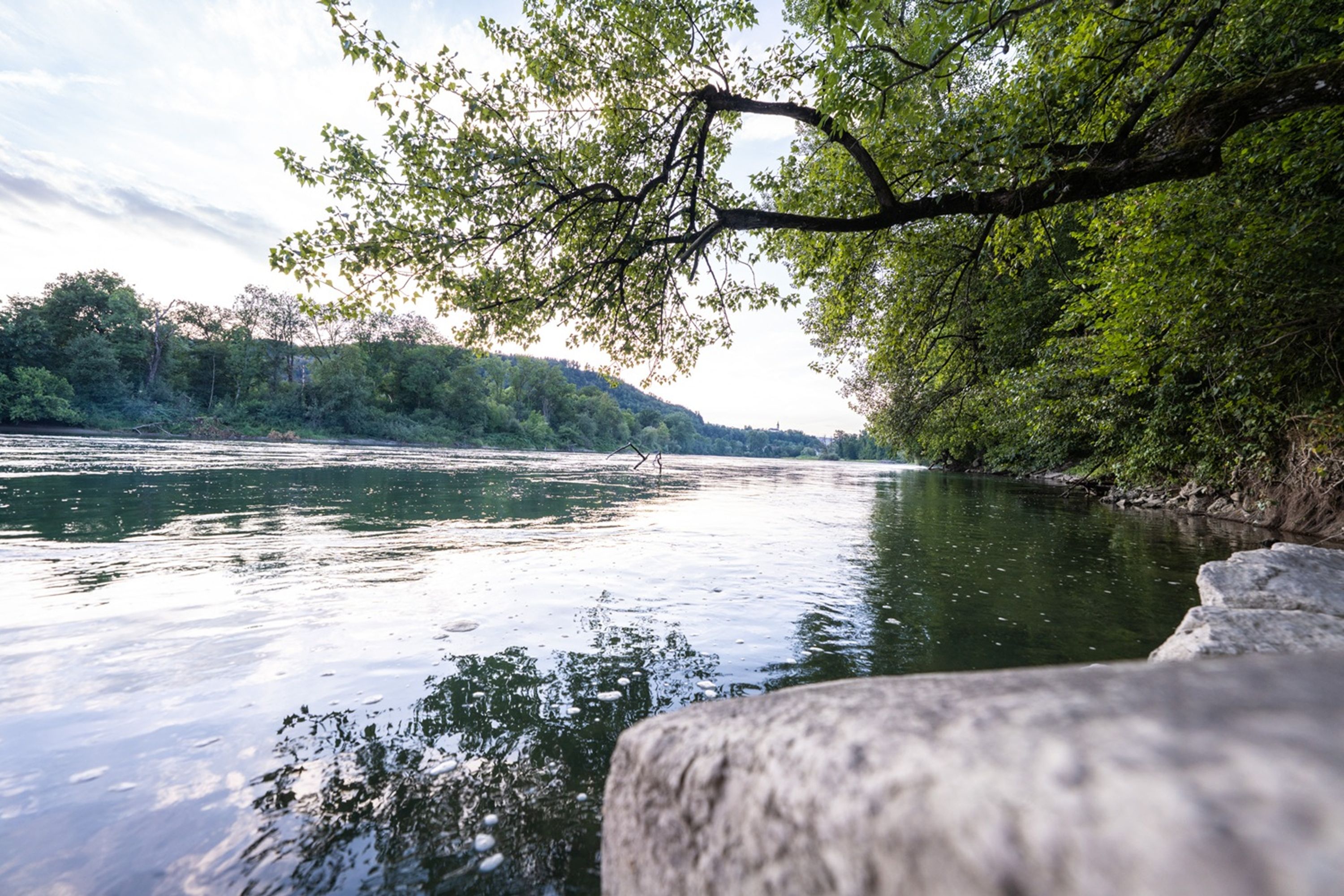 Über die Gruppe | Steinmann Group