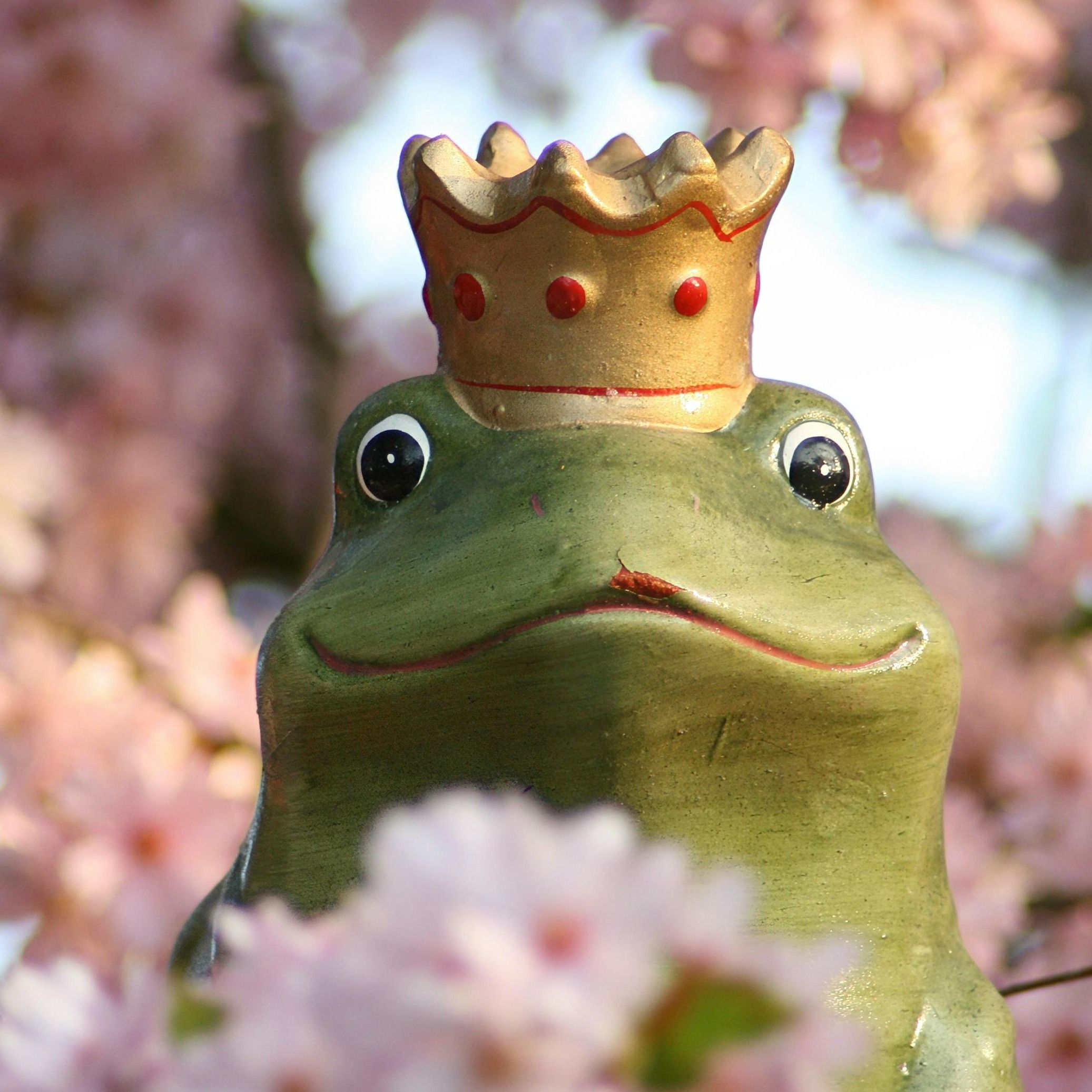 The Adventures of Sparky the Brave Little Firefly | Story.com