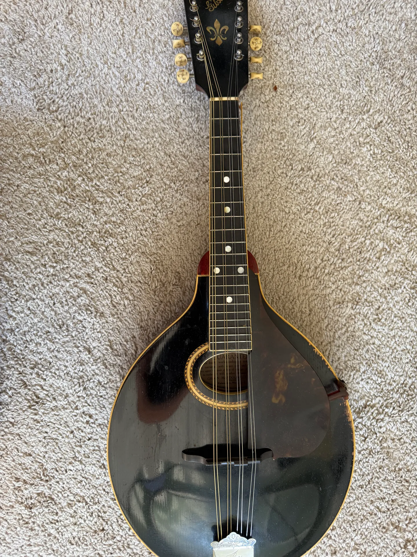 StringTree | Circa 1913 Gibson A-4 Mandolin | @spags2650