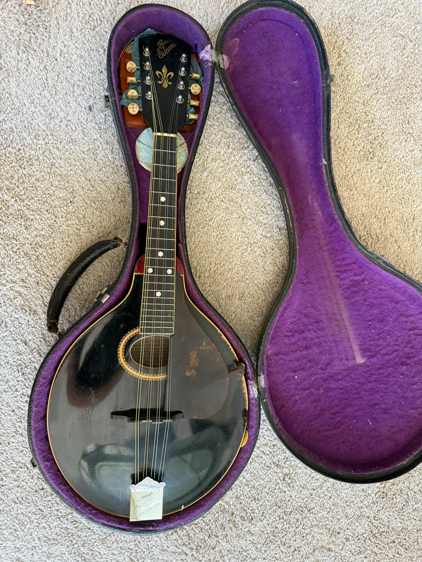 StringTree | Circa 1913 Gibson A-4 Mandolin | @spags2650