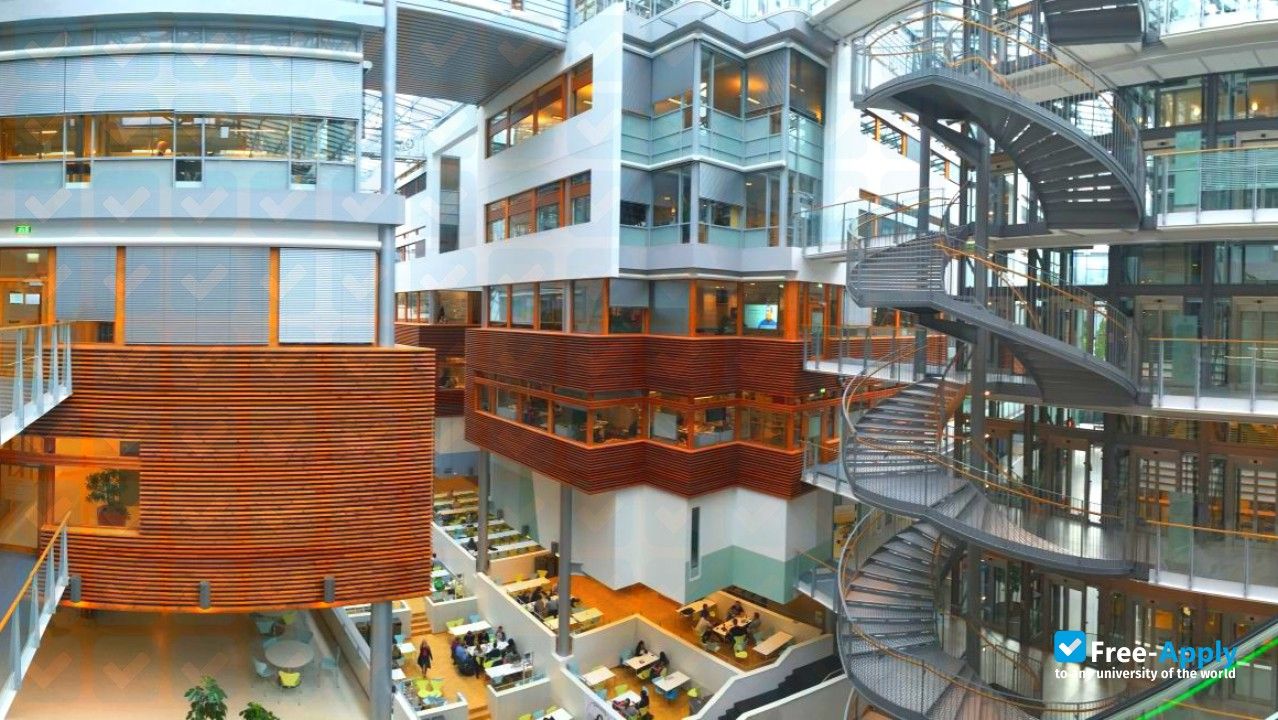 Etudiez dans la meilleure école de commerce norvégienne