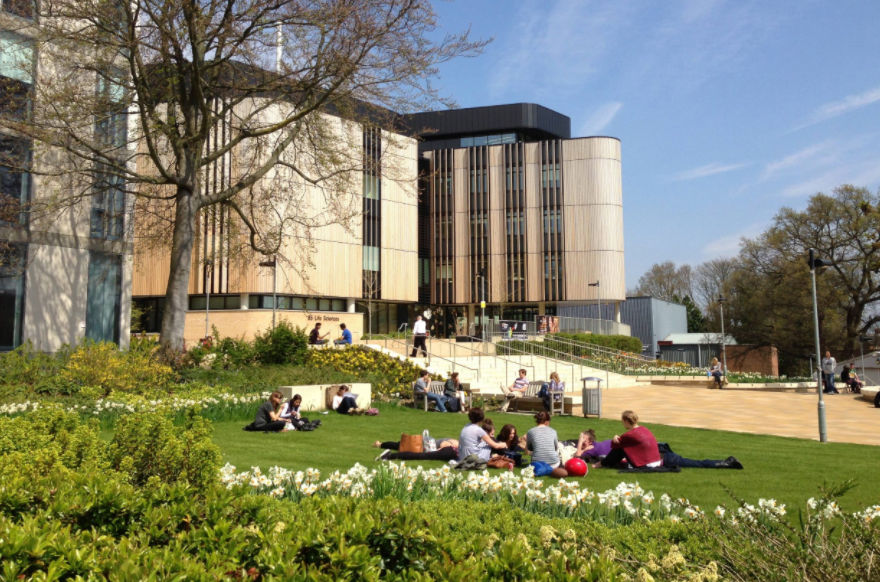 University of Southampton - Study Experience