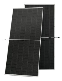 Trina TSM-NEG19RC.20 620 605-630 1500V Silver Frame TS4 Bifacial | sun ...