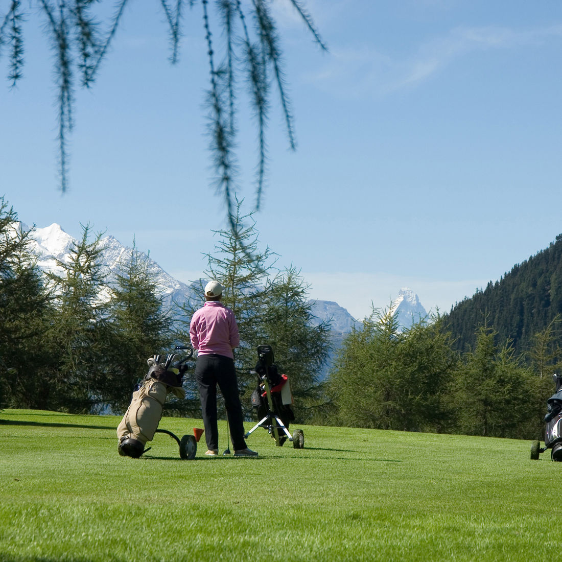 Swiss Golf Struktur - Swiss Golf