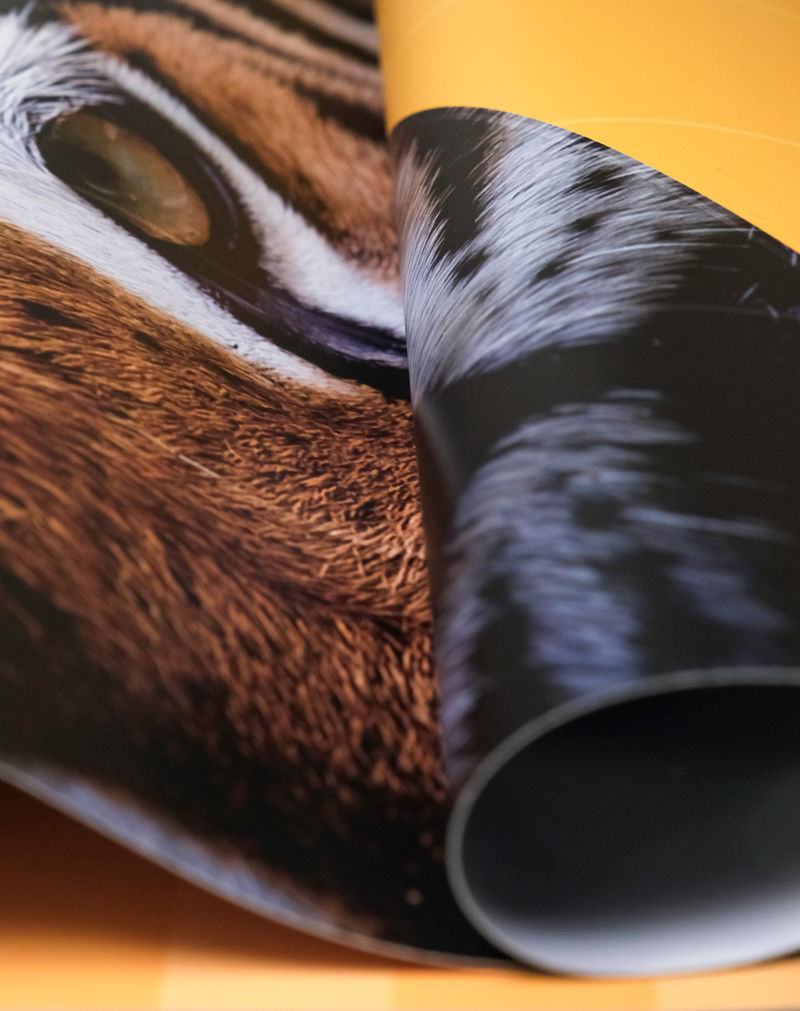 Adorn Banners | Takeform