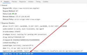 Expires HTTP Header Syntax, Directives and Examples - Holistic SEO