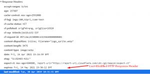 Last Modified HTTP Response Header for Cache Validation - Holistic SEO