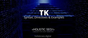 Koray Tuğberk GÜBÜR Holistic SEO Expert - Holistic SEO