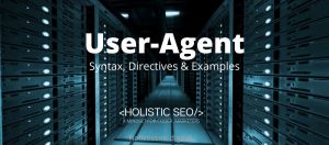 User-Agent HTTP Header: Syntax, Directive, Examples - Holistic SEO