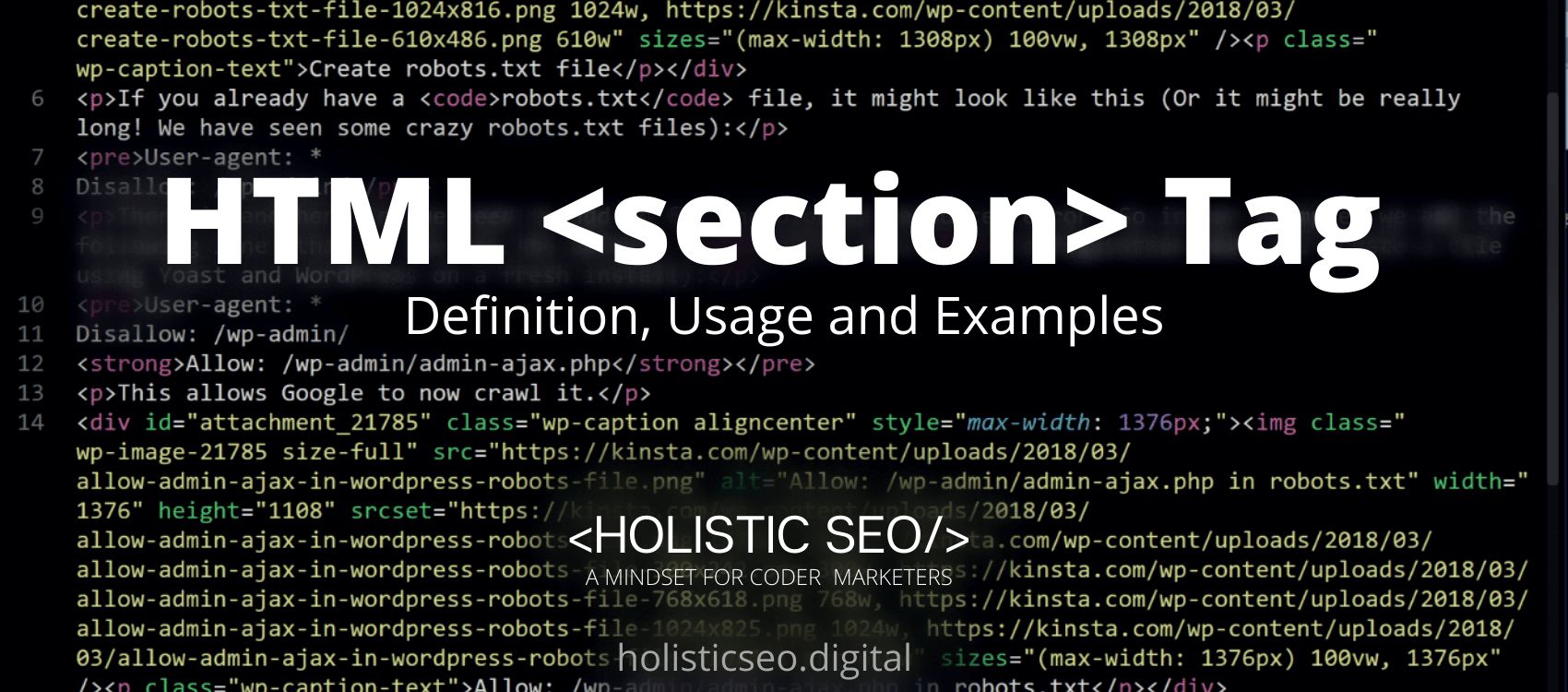 HTML Tag Definition Usage And Examples Holistic SEO HTML Tag Definition Usage And Examples Holistic SEO