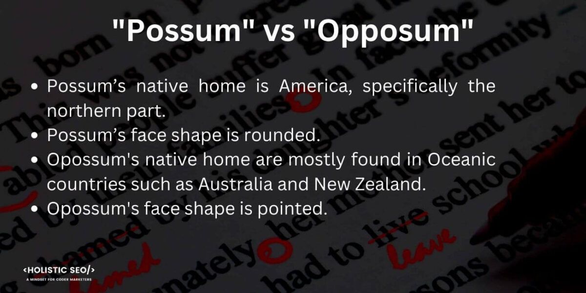 Possum vs. Opossum: Difference between Them for Grammar and Meaning ...