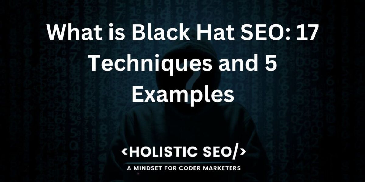 What is Black Hat SEO: 17 Techniques and 5 Examples - Holistic SEO