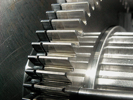 Transmission Dynamics