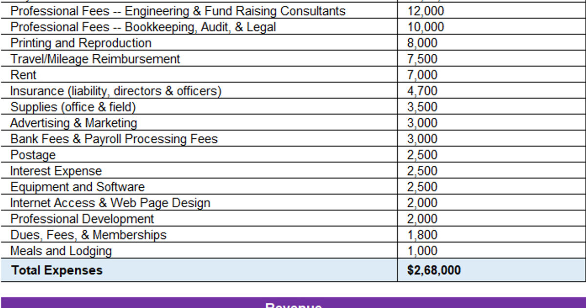 Annual Operating Budget: Plan Your Org's Financial Health in 2021