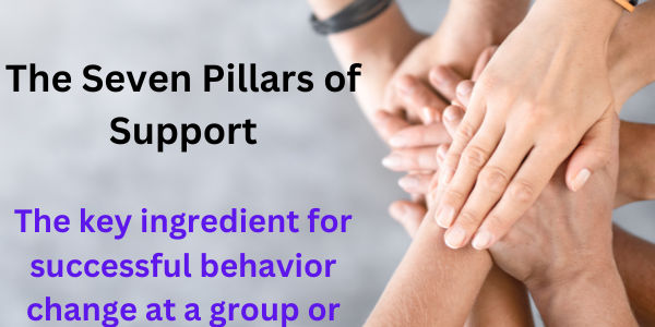 Course: The Seven Pillars of Support. The key ingredient of successful ...