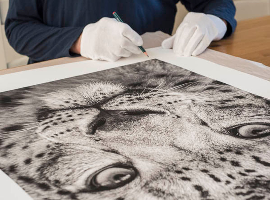 Paul Coghlin - 26 works for sale, profile & content on The Artling