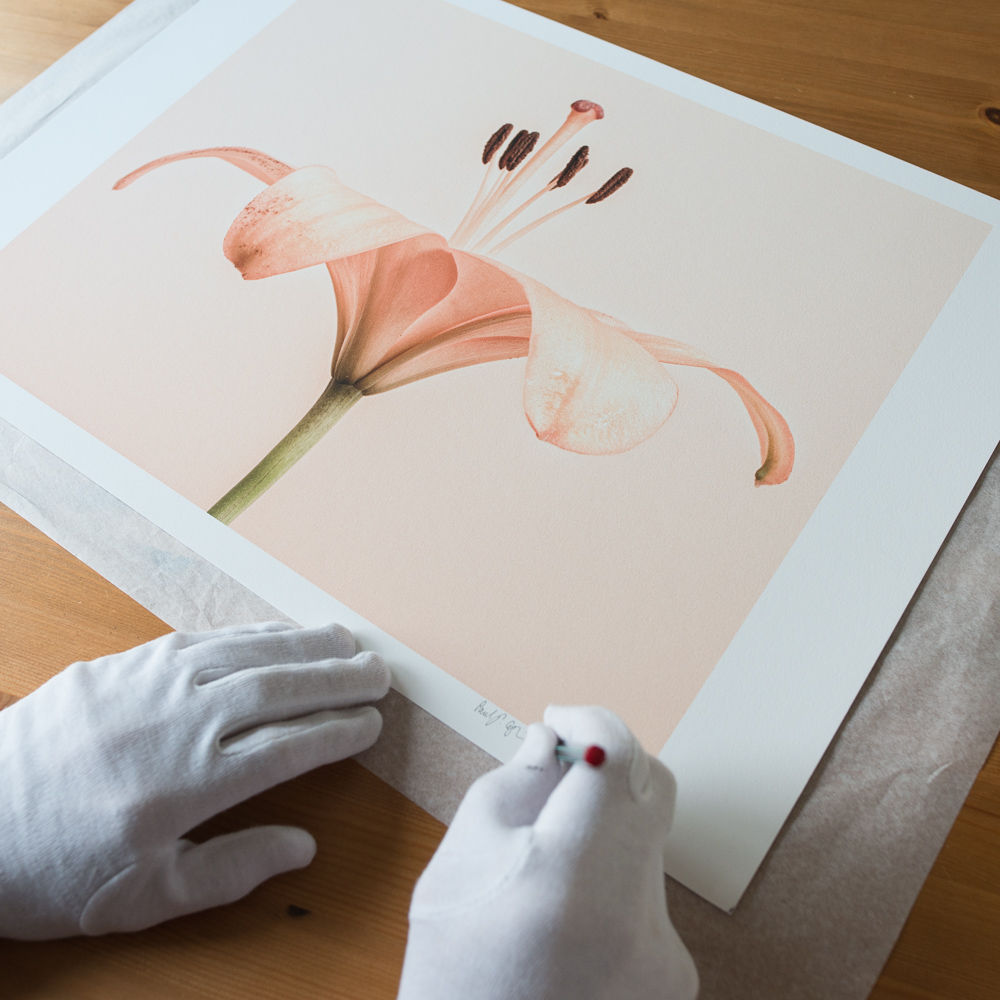 Paul Coghlin - 26 works for sale, profile & content on The Artling