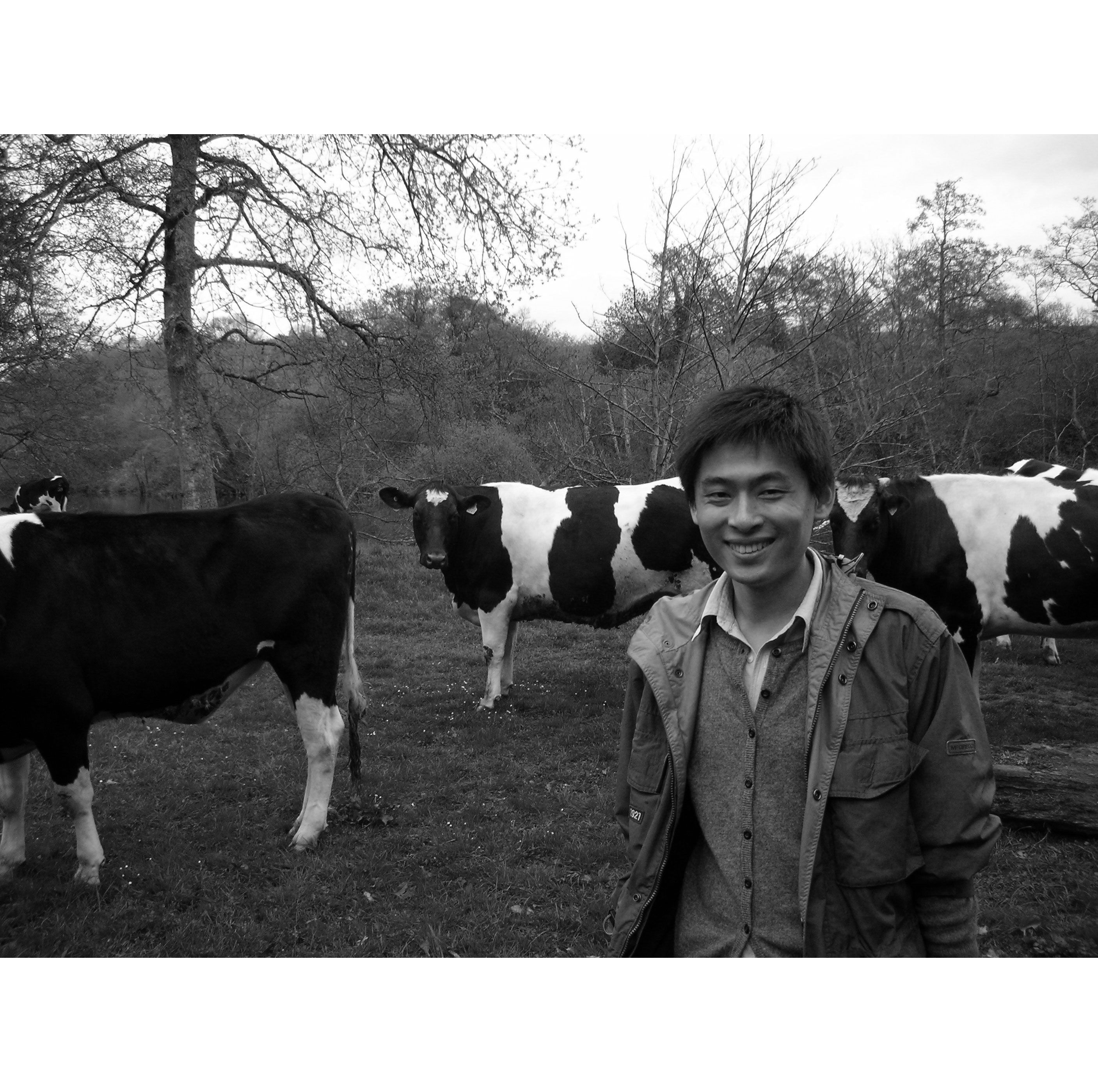 Liu Ding - 4 works for sale, profile & content on The Artling